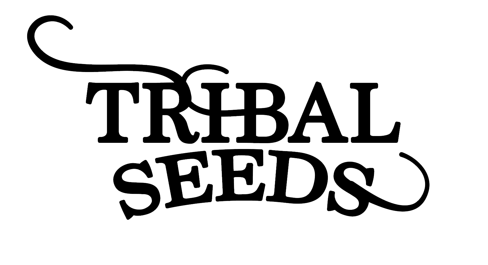 Album Showcase: Tribal Seeds - "Ancient Blood" - RootfireRootfire